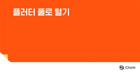 플러터 풀로 털기