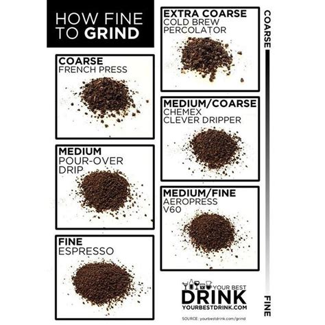 What Are The Different Types Of Coffee Processing Methods Artofit