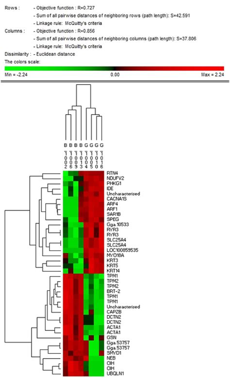 A Hierarchically Clustered Heat Map Of The 40 Most Differentially