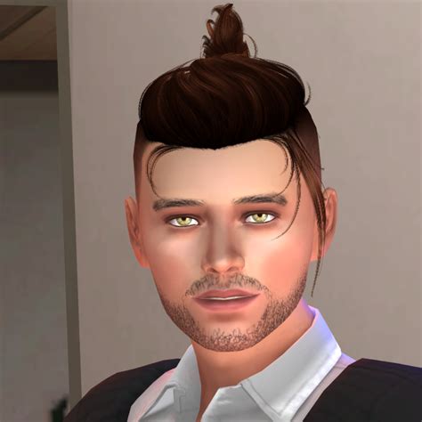 Regis Cardoso The Sims 4 Sims Households Curseforge