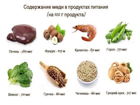 Медь в организме - Здоровы с нами
