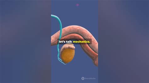 The Surprising Side Effects Of Long Term Sexual Abstinence Celibacy