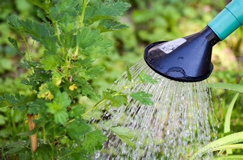 Average Water Usage Water Usage Calculator Uk Water Consumption