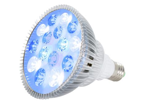 Are Fluorescent Lights Bad For My Aquarium Petaquariums