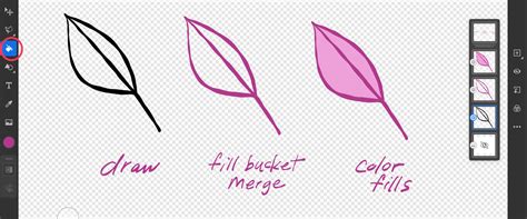 adobe fresco vs illustrator vector drawing on the ipad sketch