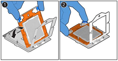 Servicing Processors