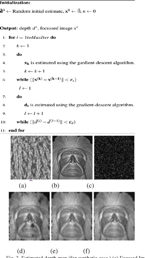 Figure 3 From Joint Estimation Of Depth Map And Focus Image In Sff An