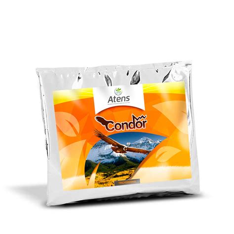 Condor