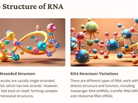 Structure Of DNA RNA Lessons Teaching Resources