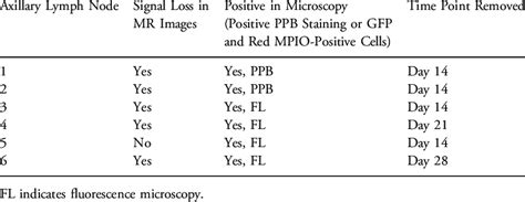 Analysis Of Axillary Lymph Nodes Examined With Both Mri And Either Ppb