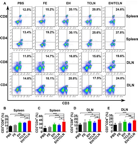 Synergy Of Polydopamine Nanovaccine And Endostar Alginate Hydrogel For