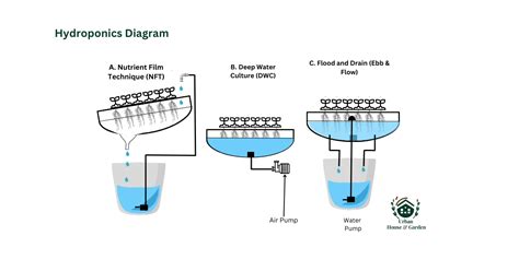 Hydroponics Diagram Fresh Guidance Urban House Garden