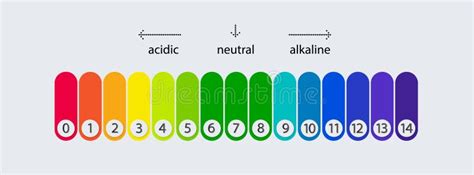 Ph Scale Chart For Acid And Alkaline Solutions Acid Base Balance
