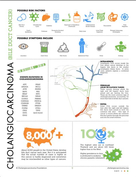 About Cholangiocarcinoma Cholangiocarcinoma New Zealand