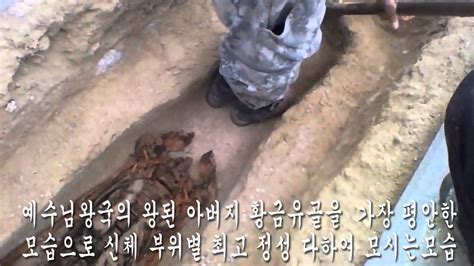아버지 묘지 이장 모습 천하 제일 명당의 황금 유골 증거 오직 예수님 이름으로 감사 영광 기도 YouTube