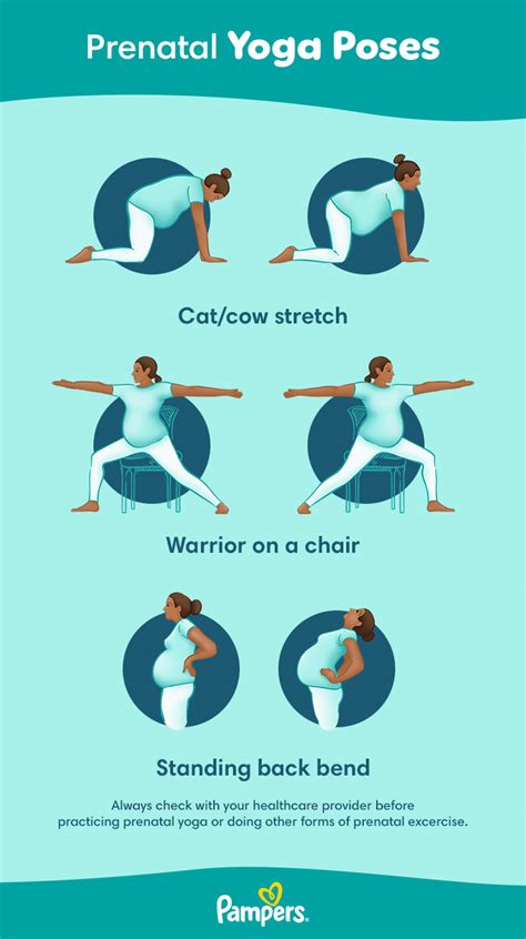 pelvic floor exercises during pregnancy second trimester