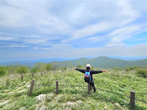 🦋510토 천상의화원 아름다운 야생화와 함께 걷는 길 야생화 천국 두문동재 백두대간 고갯길 대덕산 🌷야생화 군락지 초원 둘레길걷기 전국 도보여행