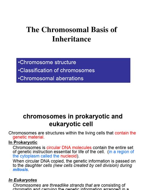 Sex Determination Pdf Ploidy Allele