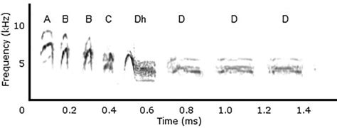 An Investigation Of Sex Differences In Acoustic Features In Black Capped Chickadee Poecile
