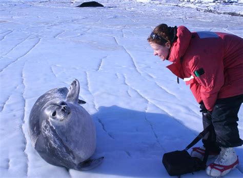 Amy Kirkham Hormones Reflect The Impacts Of Reproductive Rest On Subsequent Pregnancy In A