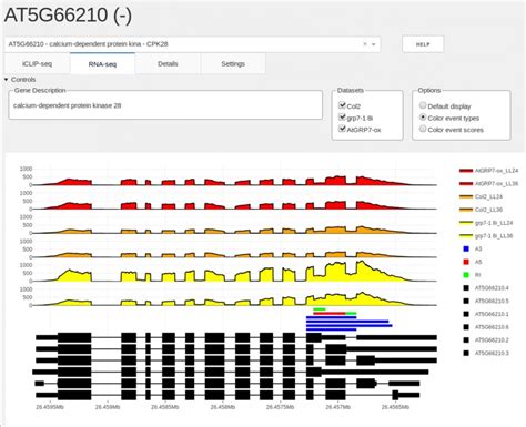 Seqing Web Based Visualization Of Iclip And Rna Seq Data In An