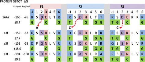 Calculated Energies Of Binding Of Variants Of Zinc Finger Protein Pdb