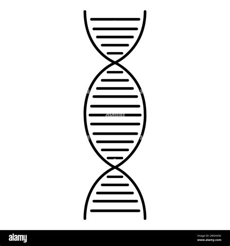 Black Dna Chain Chromosomal Structure Of Rna Molecule Stock Vector