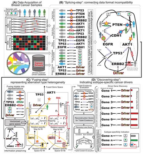 Integrating Multi Type Aberrations From Dna And Rna Through Dynamic Mapping Gene Space For