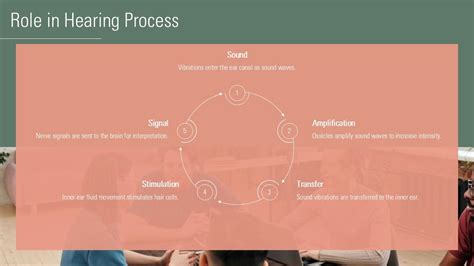 Role In Hearing Process Ossicle Ppt Slides Acp Ppt Example