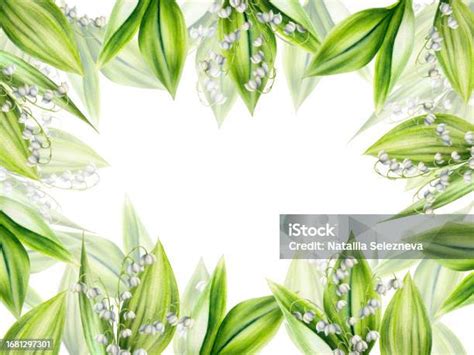 계곡의 백합 꽃다발의 수채화 세트는 흰색 배경에 분리되어 있다 봄 손으로 그린 그림입니다 디자이너 결혼식 장식 엽서 포장지 스크랩북 표지 초대장 포스터 및 직물 갈란투스에