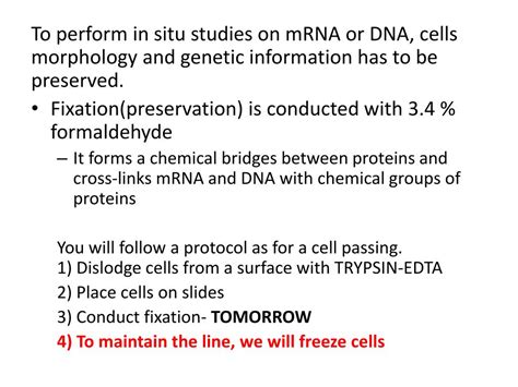 Ppt Cell Fixation Powerpoint Presentation Free Download Id 2354459