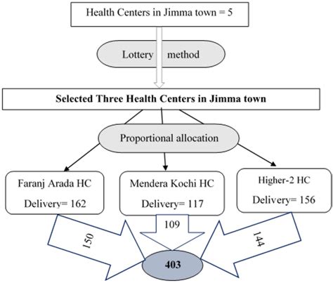 Schematic Representation Of Proportional Allocation Of Sample Size To