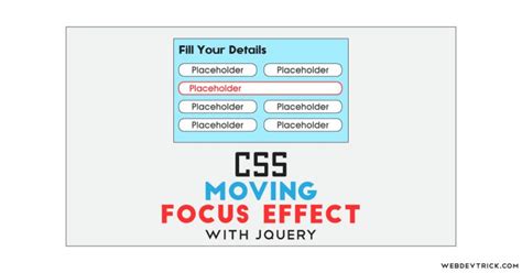 Css Moving Input Focus Effect With Jquery Inputs In Signup Form