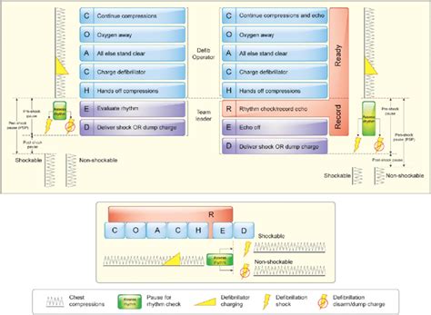 The Coached And Coach Red Protocol The Original Author Of The Coached Download Scientific