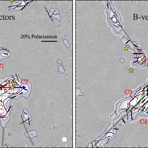 Polarization Vectors Left And Magnetic Field Vectors Right On 850 Download Scientific