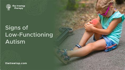 Low Functioning Autism Signs Causes And Treatment
