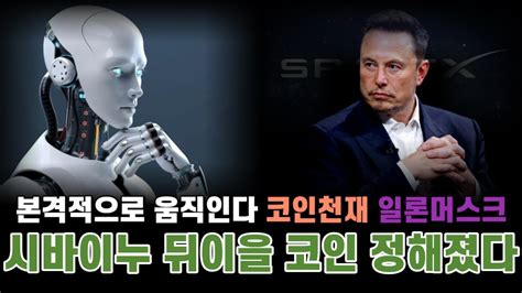 본격적으로 움직이는 괴짜천재 일론머스크 시바이누 다음 코인 정해졌다 Youtube