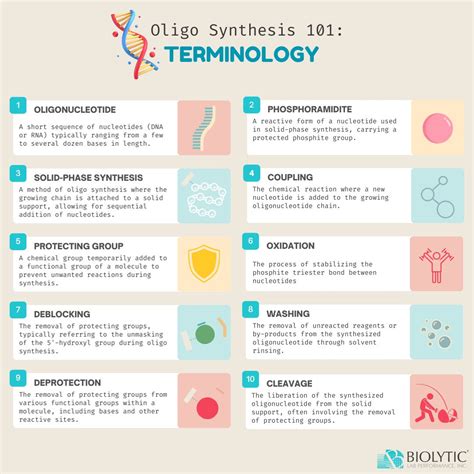 Biolytic Lab Performance Inc On Linkedin 📚 Oligo Synthesis 101 We