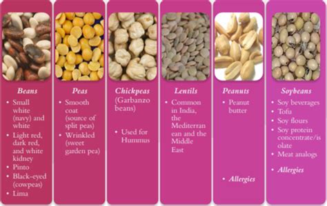 Legumes Flashcards Quizlet
