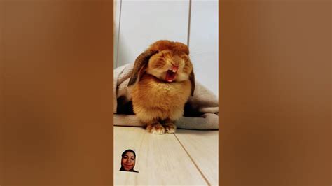 Aise Kon Padhata H Yaarviralvideo Funny Trending Ytshorts Reels