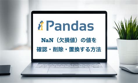 pandasで欠損値NaNの値を確認削除置換する方法