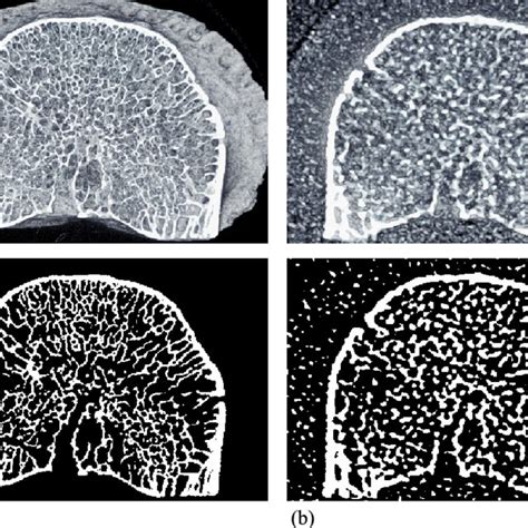 1 Five Sample Colormaps For The Qualitative And Quantitative Download Scientific Diagram