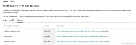 jdk17的下载、环境变量配置、测试 jdk17 download csdn博客