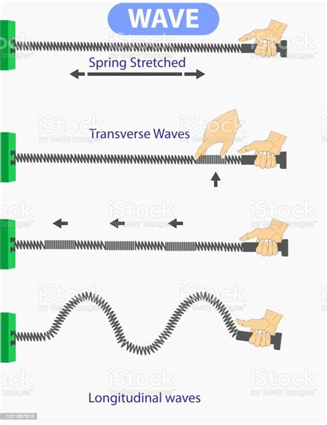 Longitudinal Wave Vs Transverse Frequency Of Transverse And