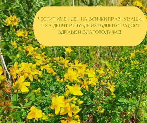 Magic Of Colors 💐Честит Имен Ден на Биляна Божура Facebook