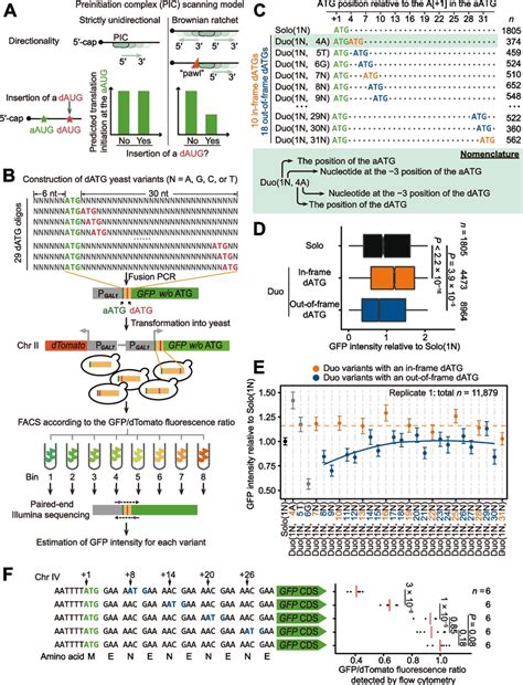 Testing Pic Scanning Models Using Thousands Of Datg Variants A