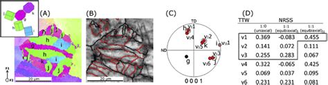a ipf map and b grain boundary map of a heavily twinned grain after