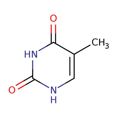 Thymine