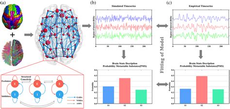 Schematic Of The Whole‐brain Computational Model A The Whole‐brain