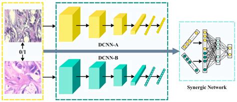 Cancers Free Full Text Improved Bald Eagle Search Optimization With Synergic Deep Learning